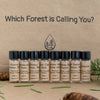 Essential Oil Forest Sampler Pack: Forester John | Forester John ...